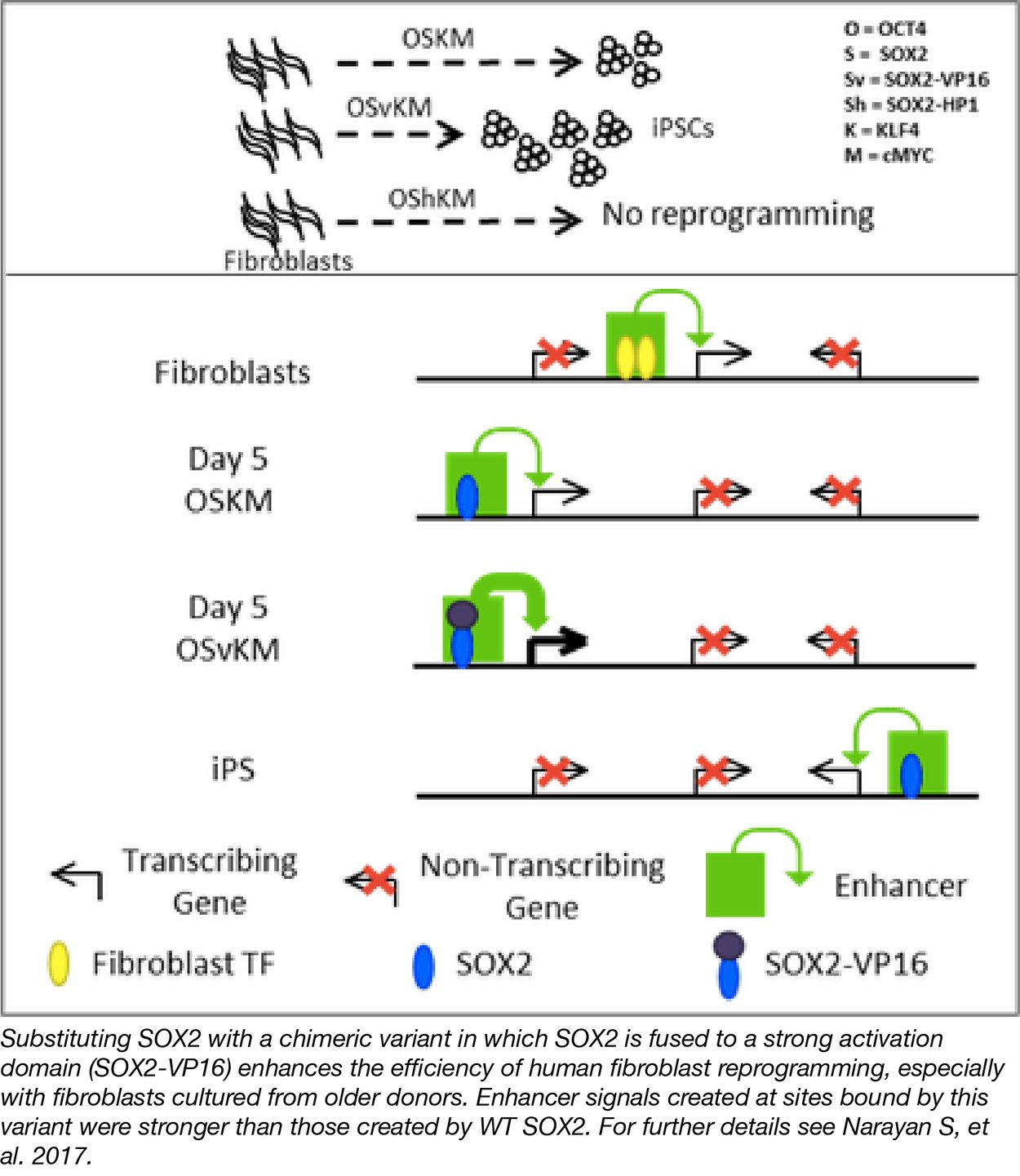 15 Hot Plasmids from 2017
